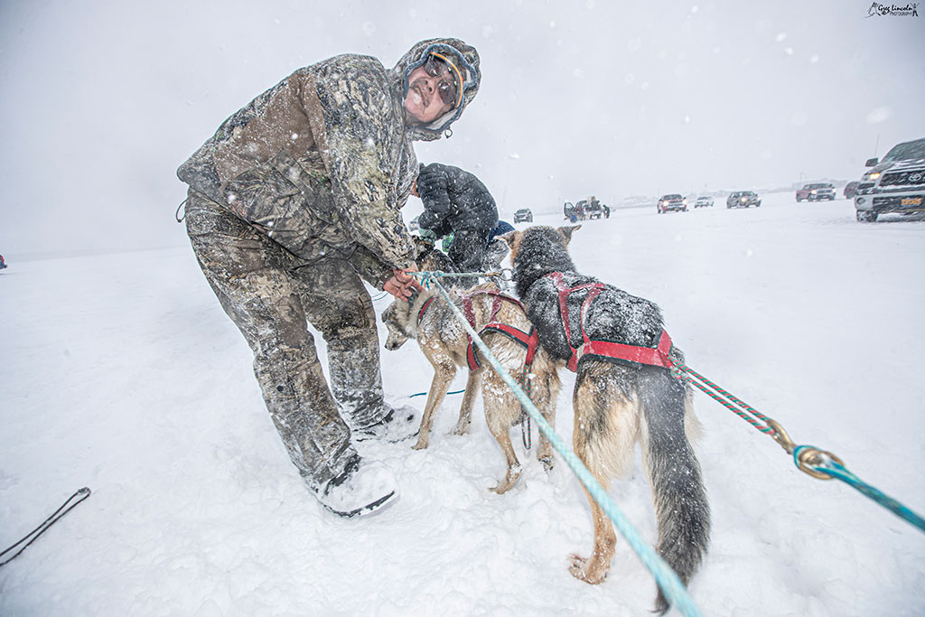 6-mushing – The Delta Discovery, Inc.